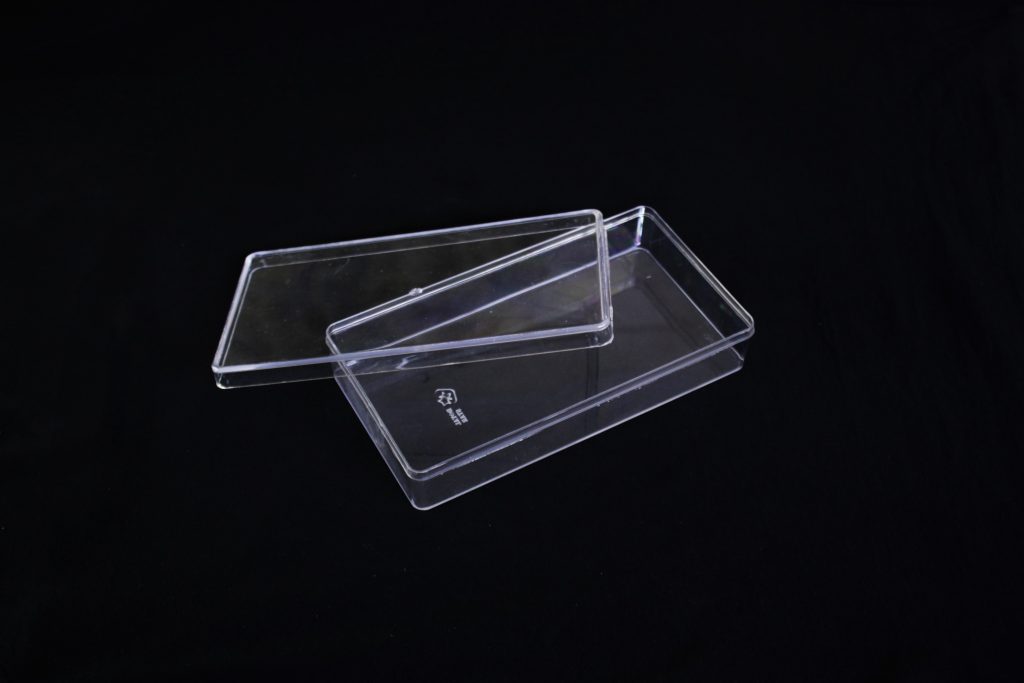 Rectangle box 250 – Royal Star